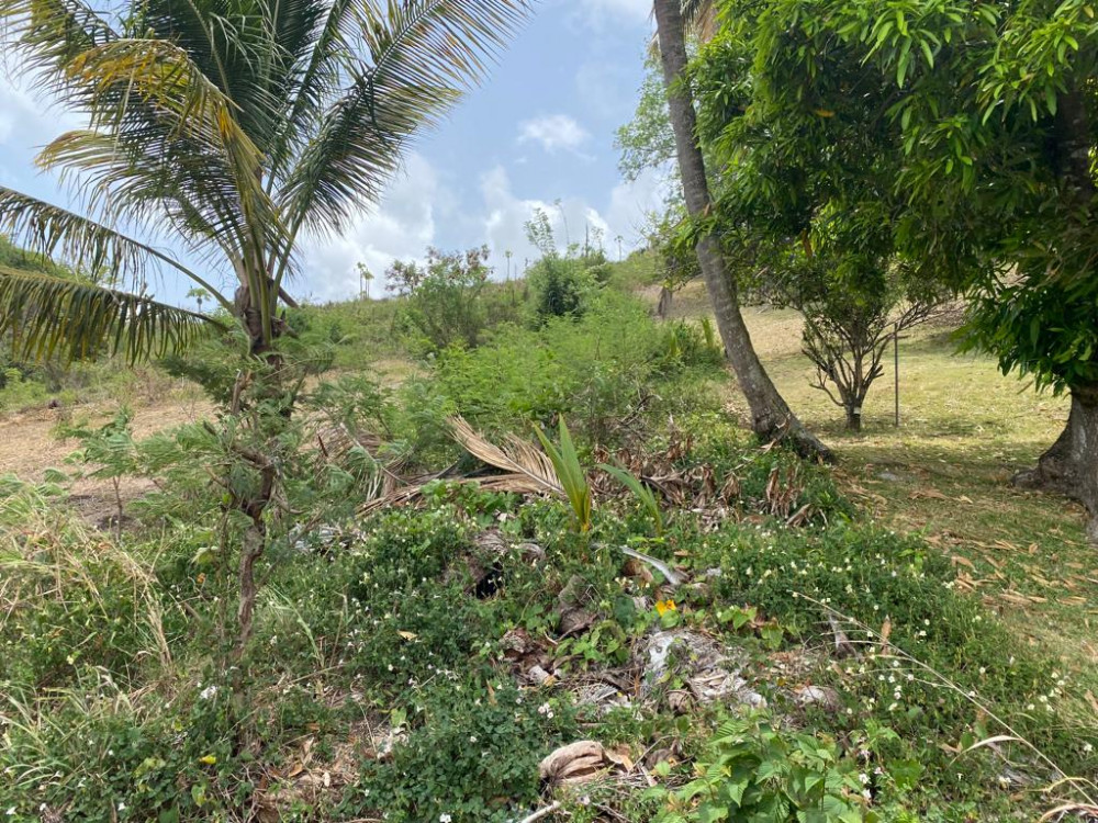 Land For Sale in Grenada | Real Property Grenada