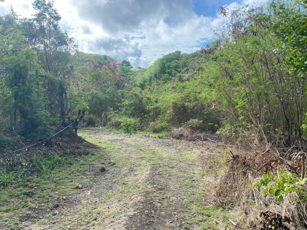 Land For Sale in Grenada | Real Property Grenada